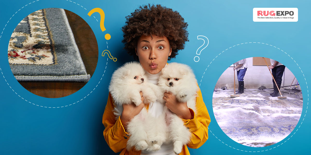 Professional Rug Cleaning for Pet Stains: Does It Really Work?